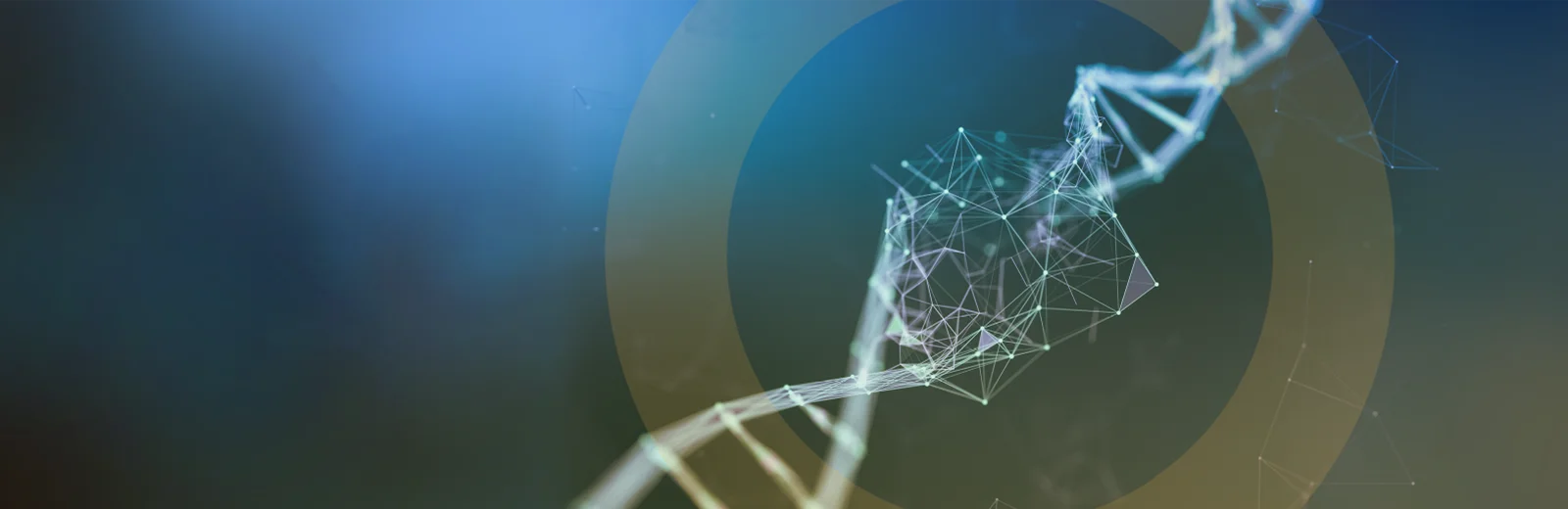 Precision Diagnostics — Halo
